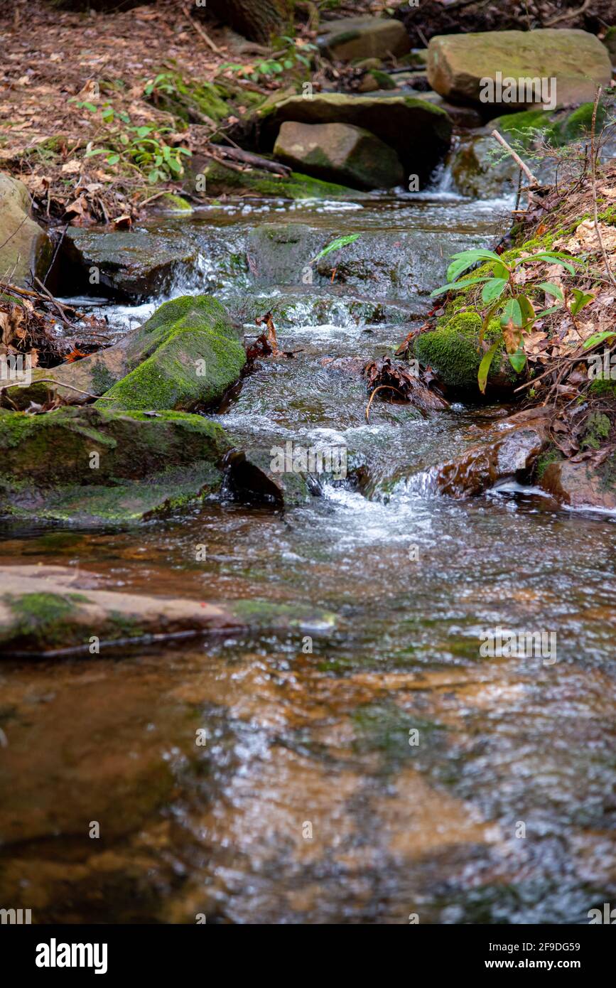 Clear mountain spring water babbles along Stock Photo - Alamy