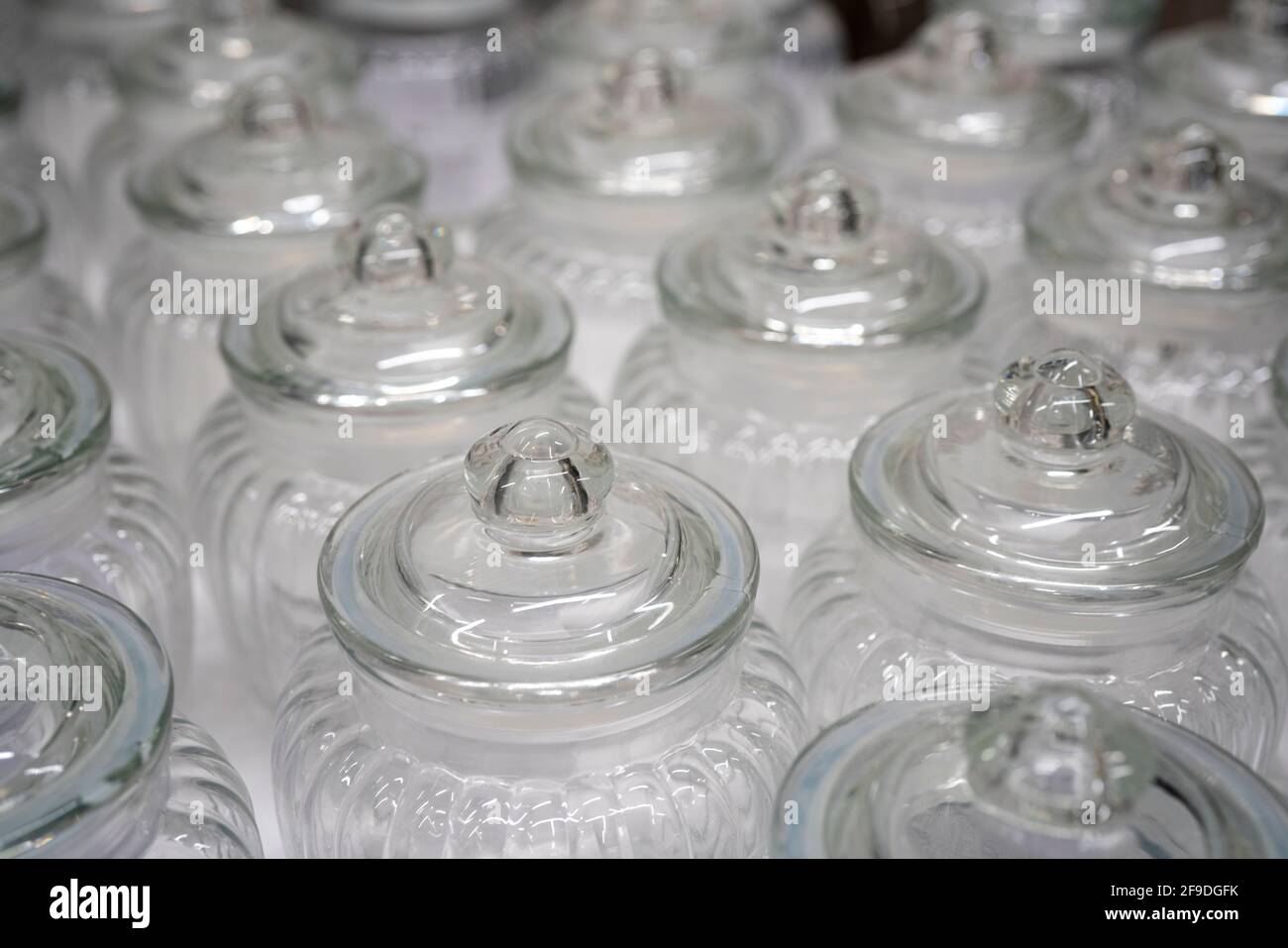 Glass tanks hi-res stock photography and images - Alamy