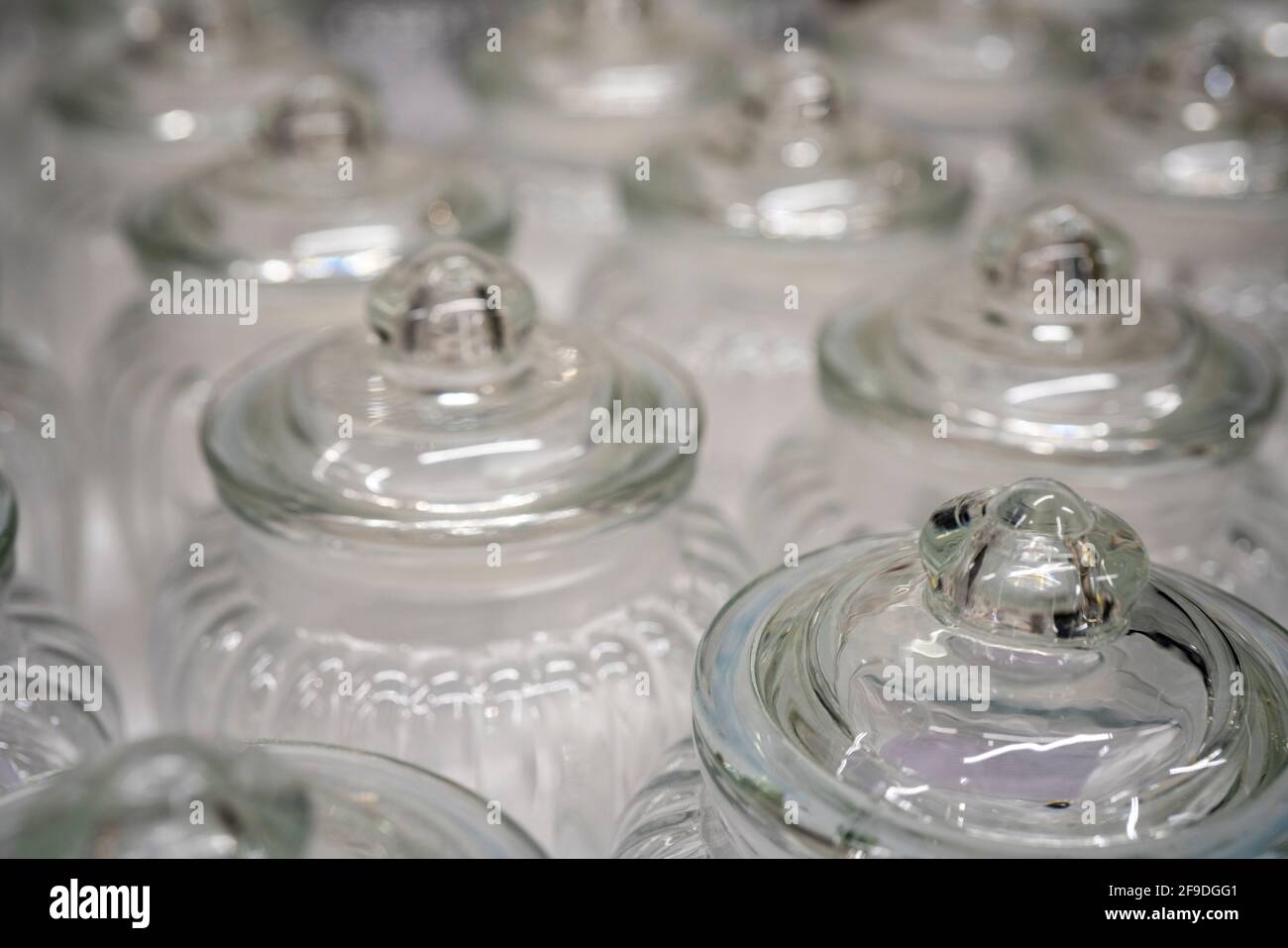Glass tanks hi-res stock photography and images - Alamy