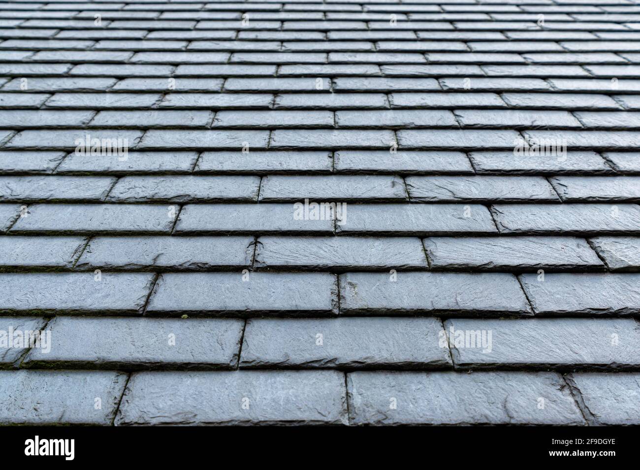 Slate Roof Texture Seamless