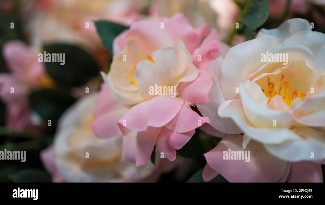 Plastic flowers for decoration, can be use as background Stock Photo ...