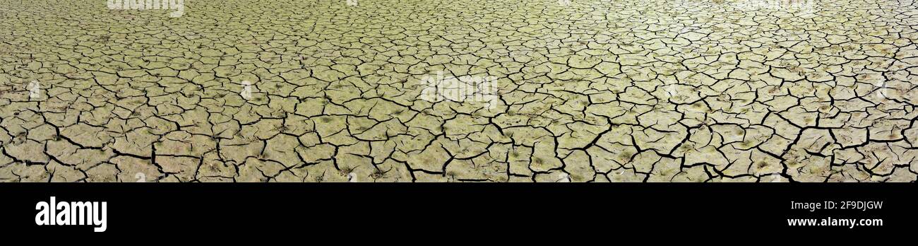 A panoramic shot of the dry cracked ground Stock Photo - Alamy