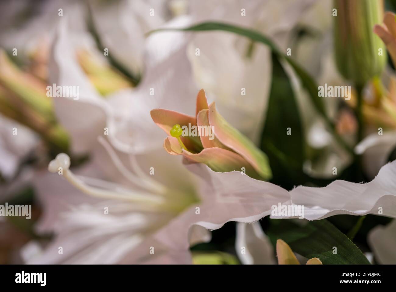 Plastic flower decoration hi-res stock photography and images - Alamy