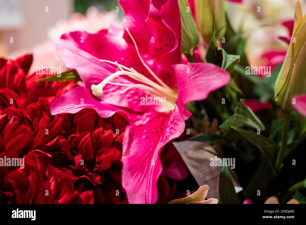 Plastic flowers for decoration, can be use as background Stock Photo ...