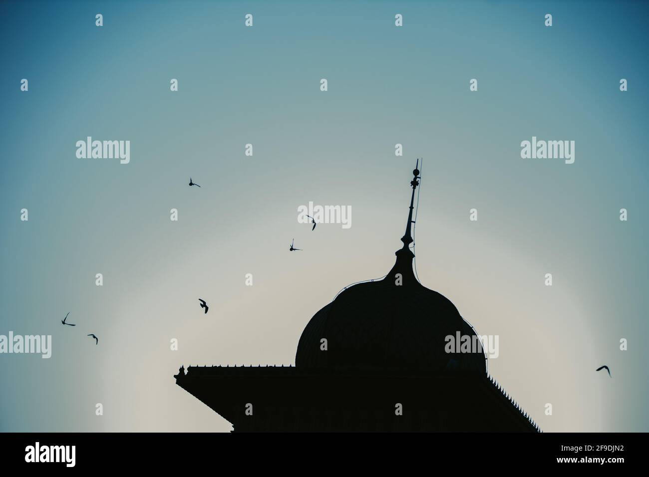 A beautiful closeup silhouette of birds flying over a church dome under ...