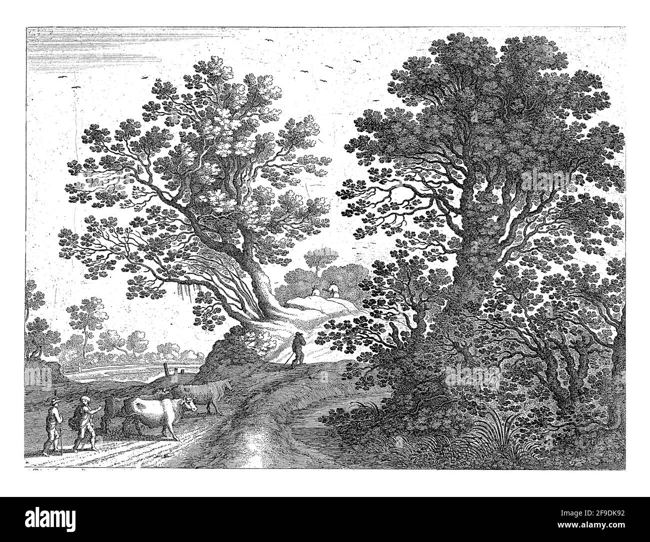 Two trees on walking Black and White Stock Photos & Images - Alamy