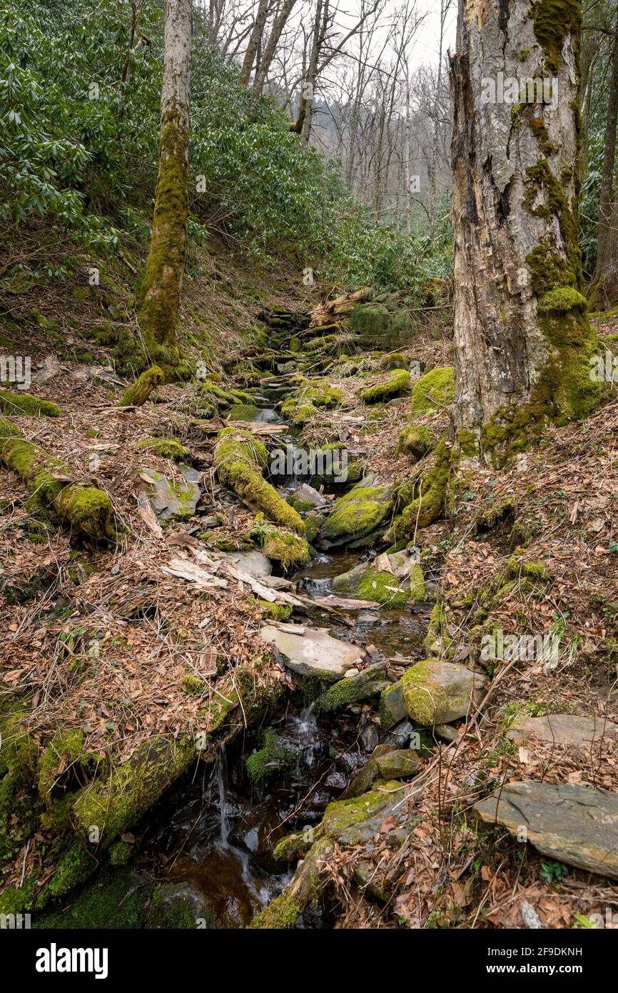 Stream flowing down a mountain hi-res stock photography and images - Alamy