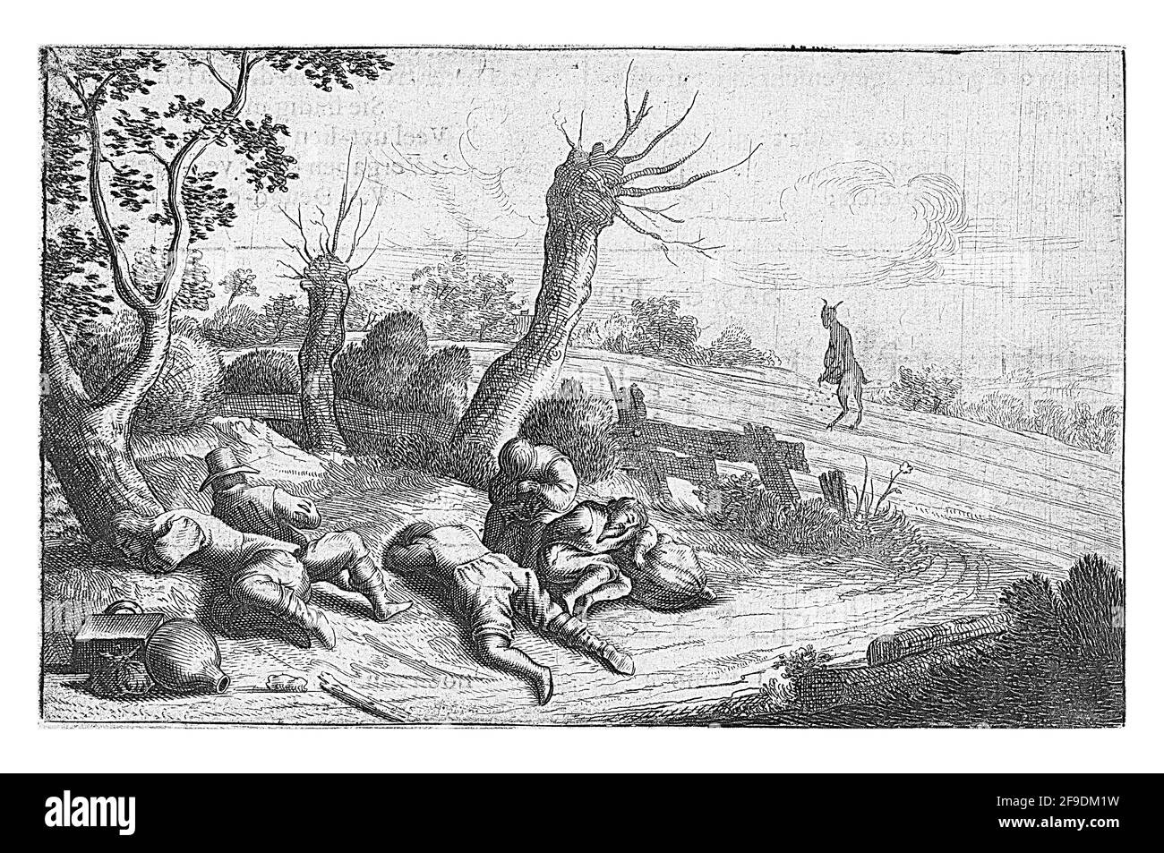 Illustration from field book Cut Out Stock Images & Pictures - Alamy