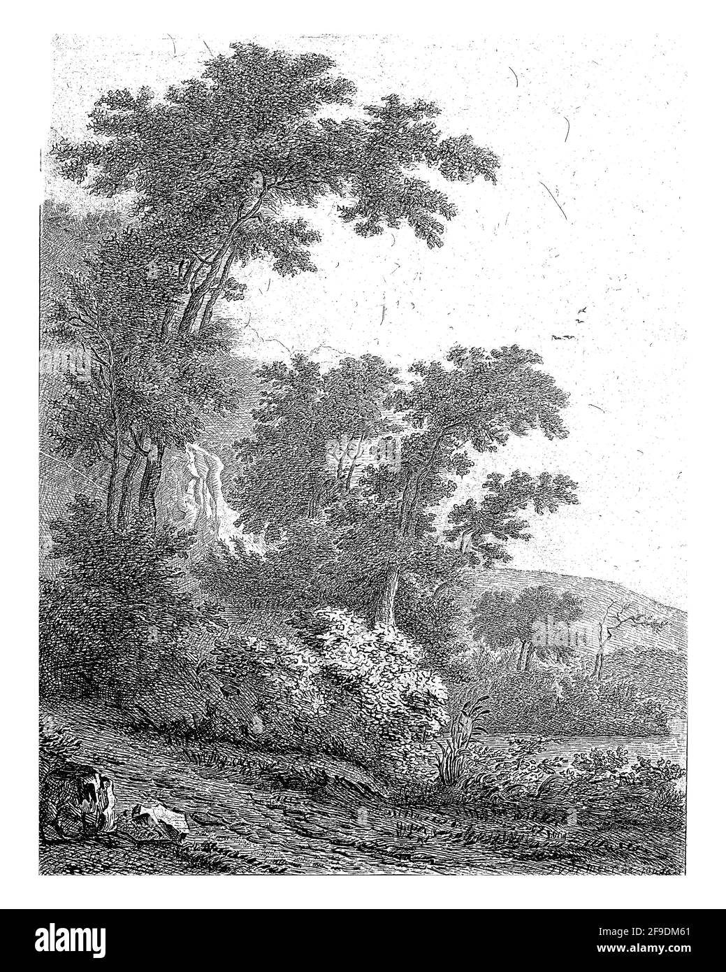 Landscape tree on left Cut Out Stock Images & Pictures - Alamy