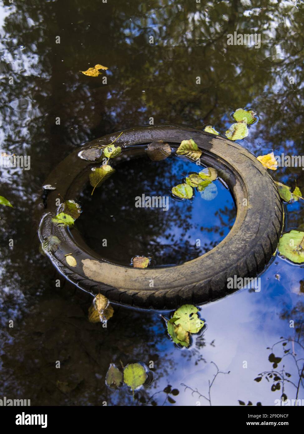 A vertical shot of an old rubbish motorcycle tire floating on the ...