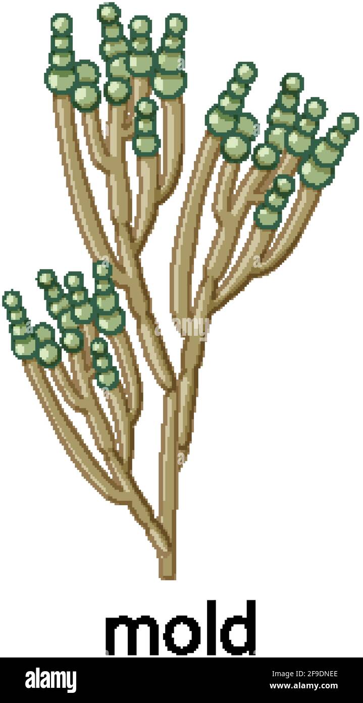 Mold icon in cartoon style isolated on white background illustration ...