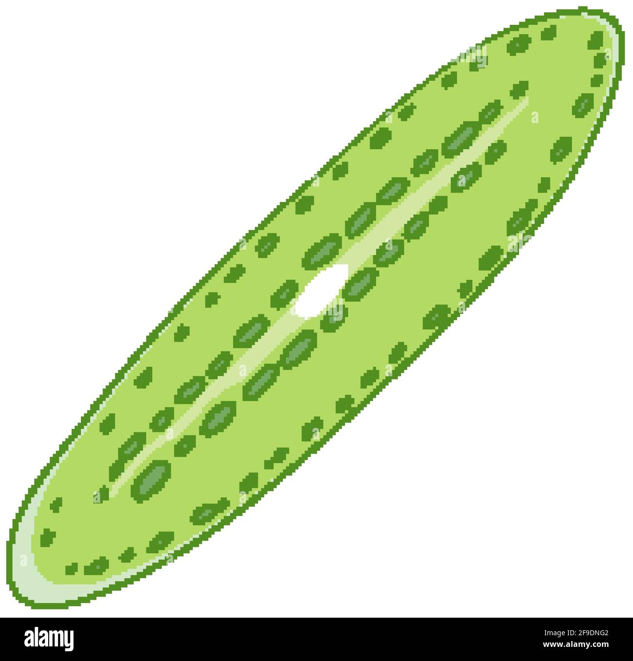 Green Algae isolated on white background illustration Stock Vector ...