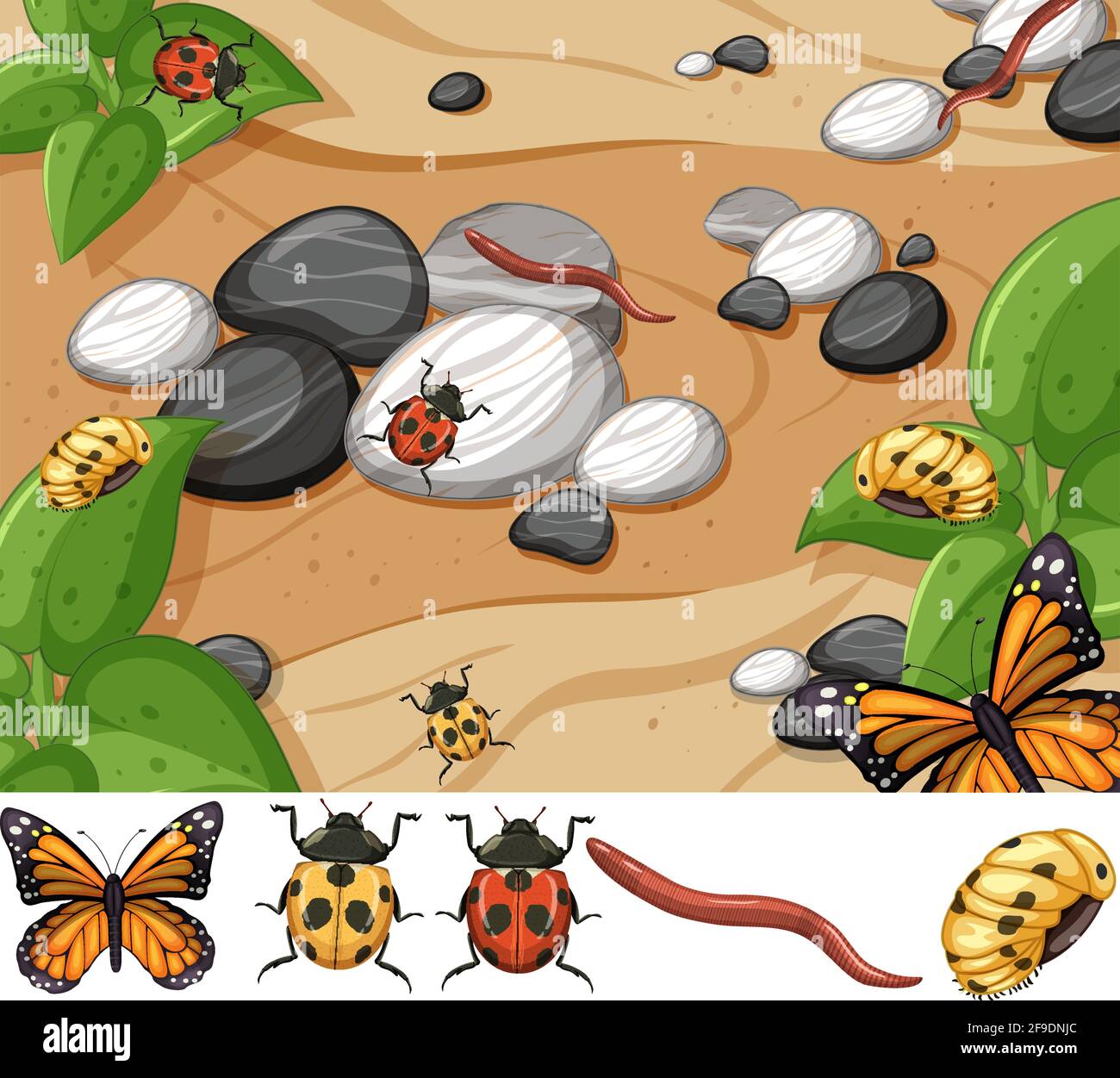 Top view scene of many insects with isolated different insects ...