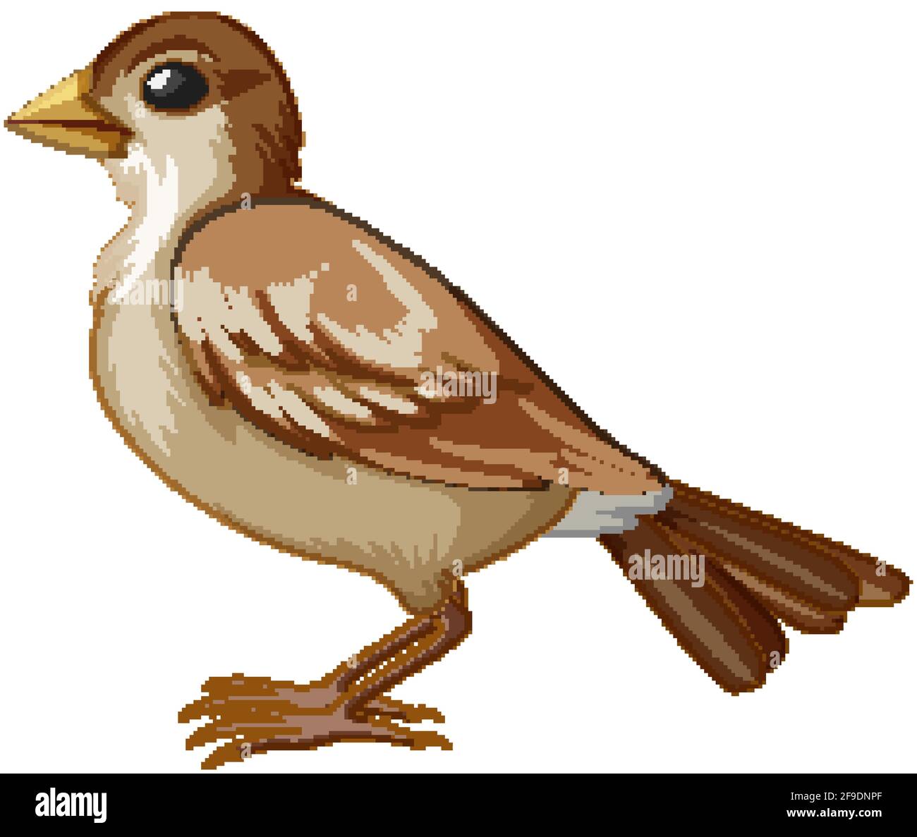 An adult bird on white background illustration Stock Vector Image & Art ...