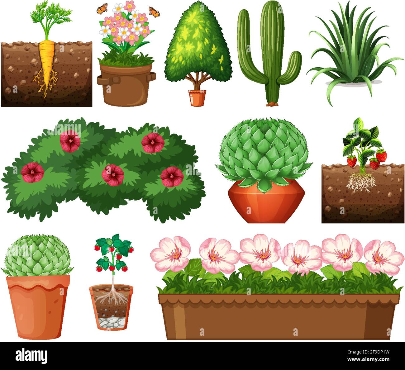 Set of different plants in pots isolated on white background ...