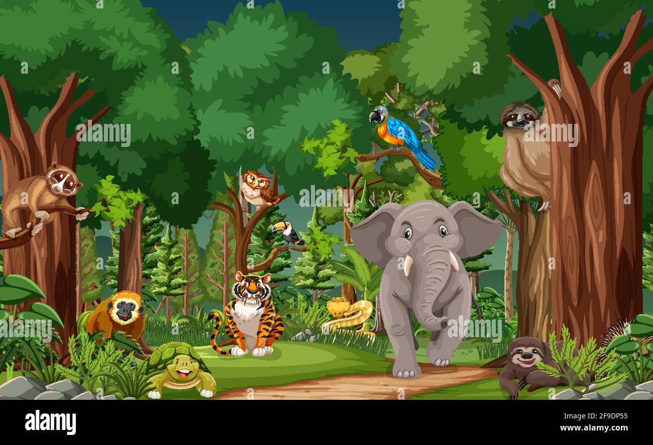 Wild animal cartoon character in the forest scene illustration Stock ...