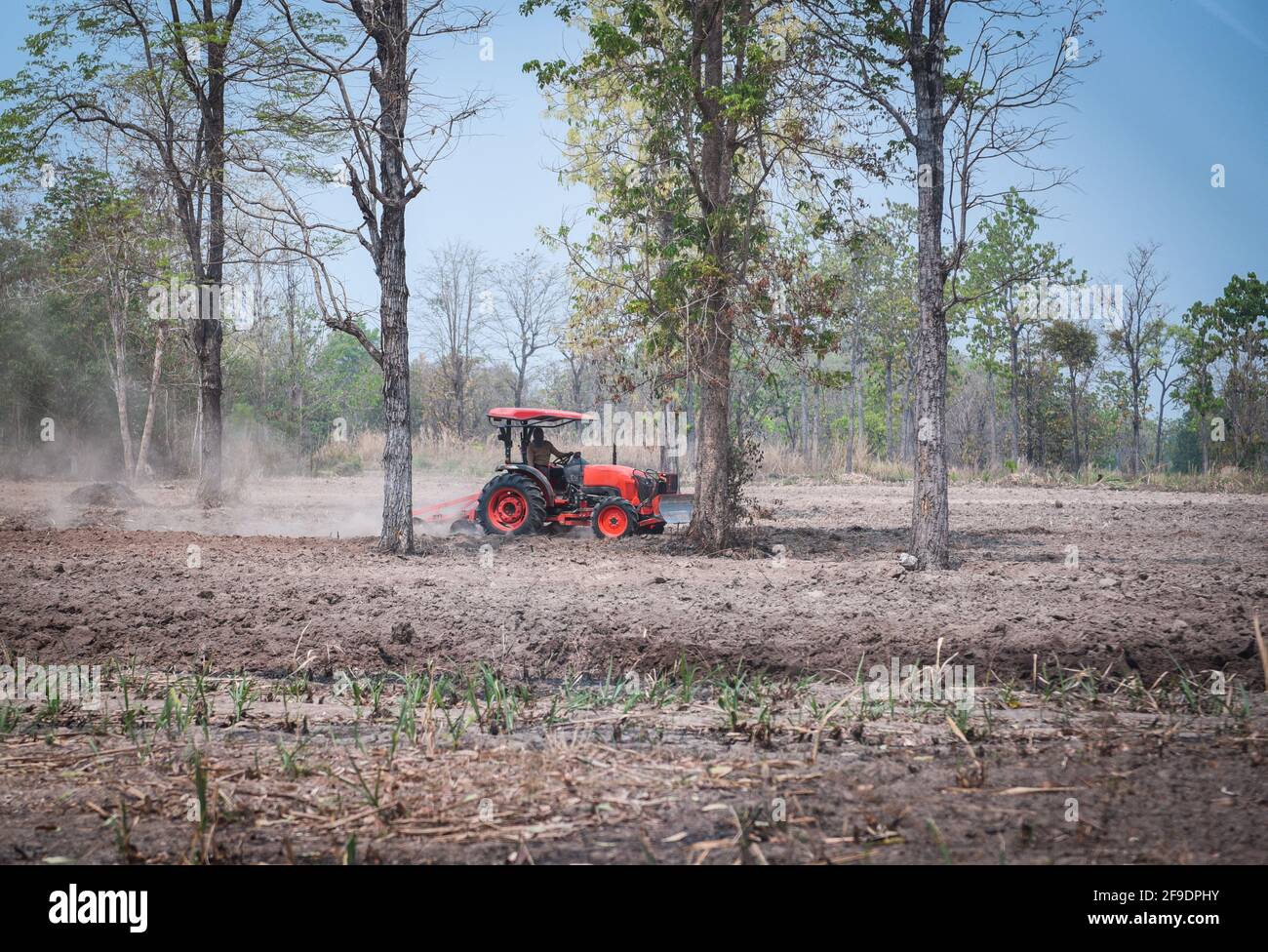 Tractor on the field sowing planting seeds mechanization, Farmer in ...