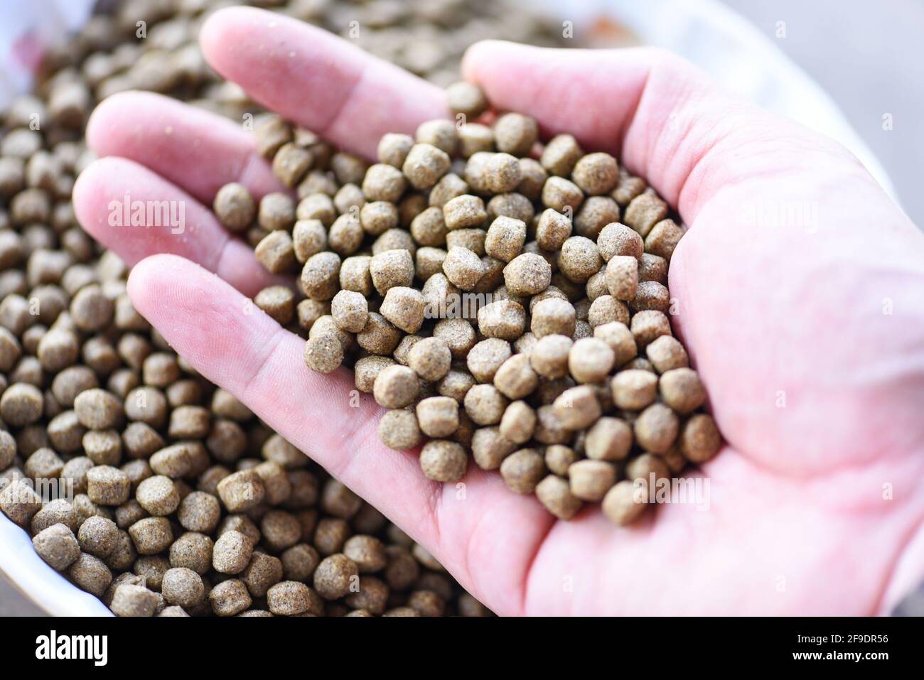 Fish feed pellets hi-res stock photography and images - Alamy