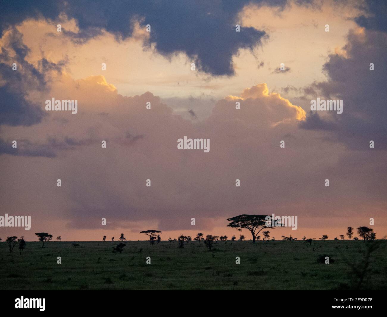African Sunset Wallpaper High Resolution Stock Photography and Images ...