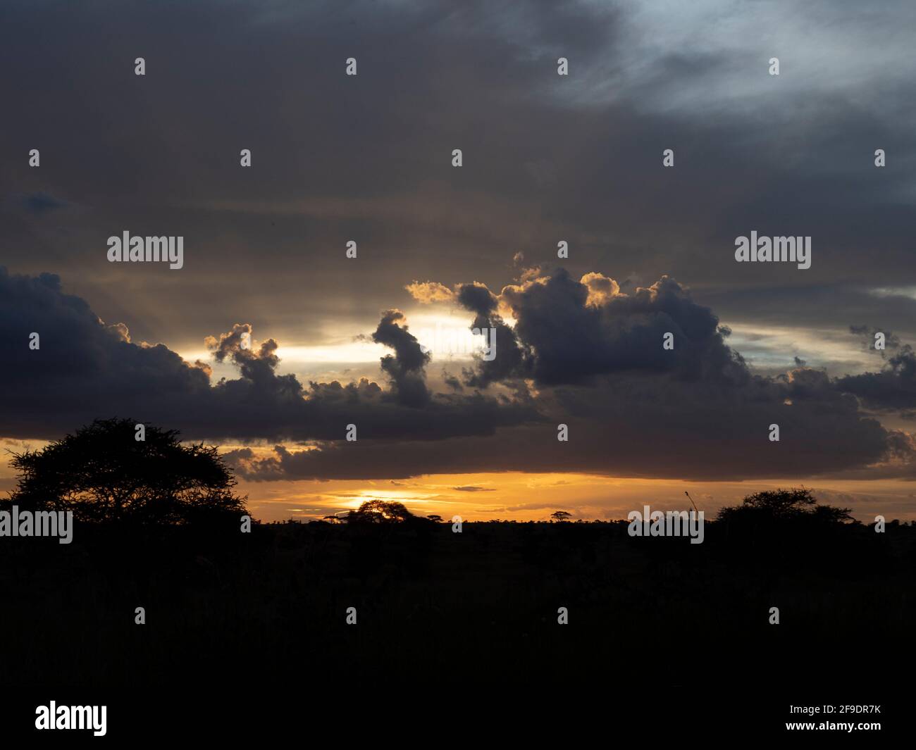 African Sunset Wallpaper High Resolution Stock Photography and Images ...