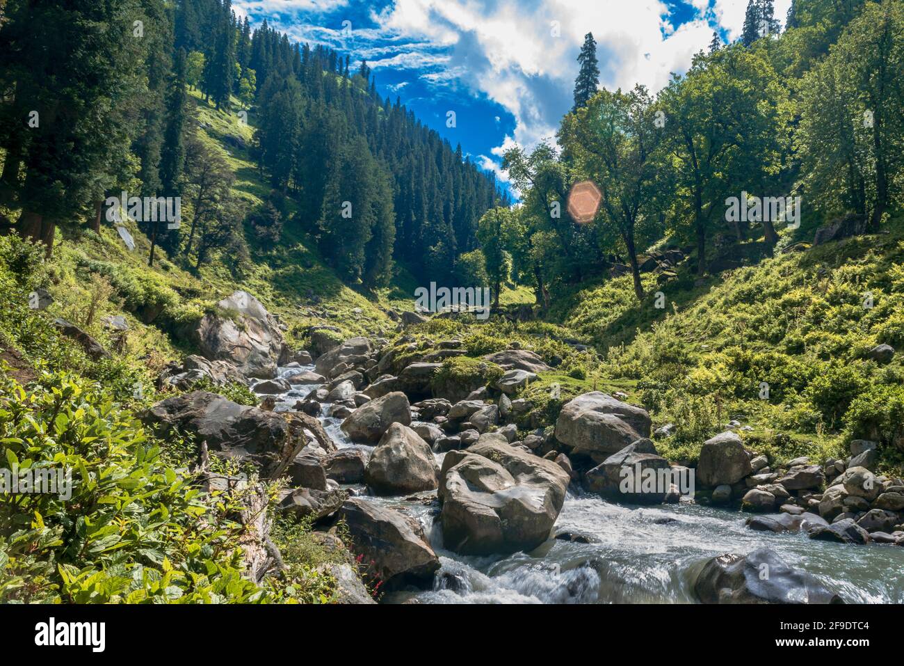 Mountain river in the mountains. River in scenic alpine meadows of ...