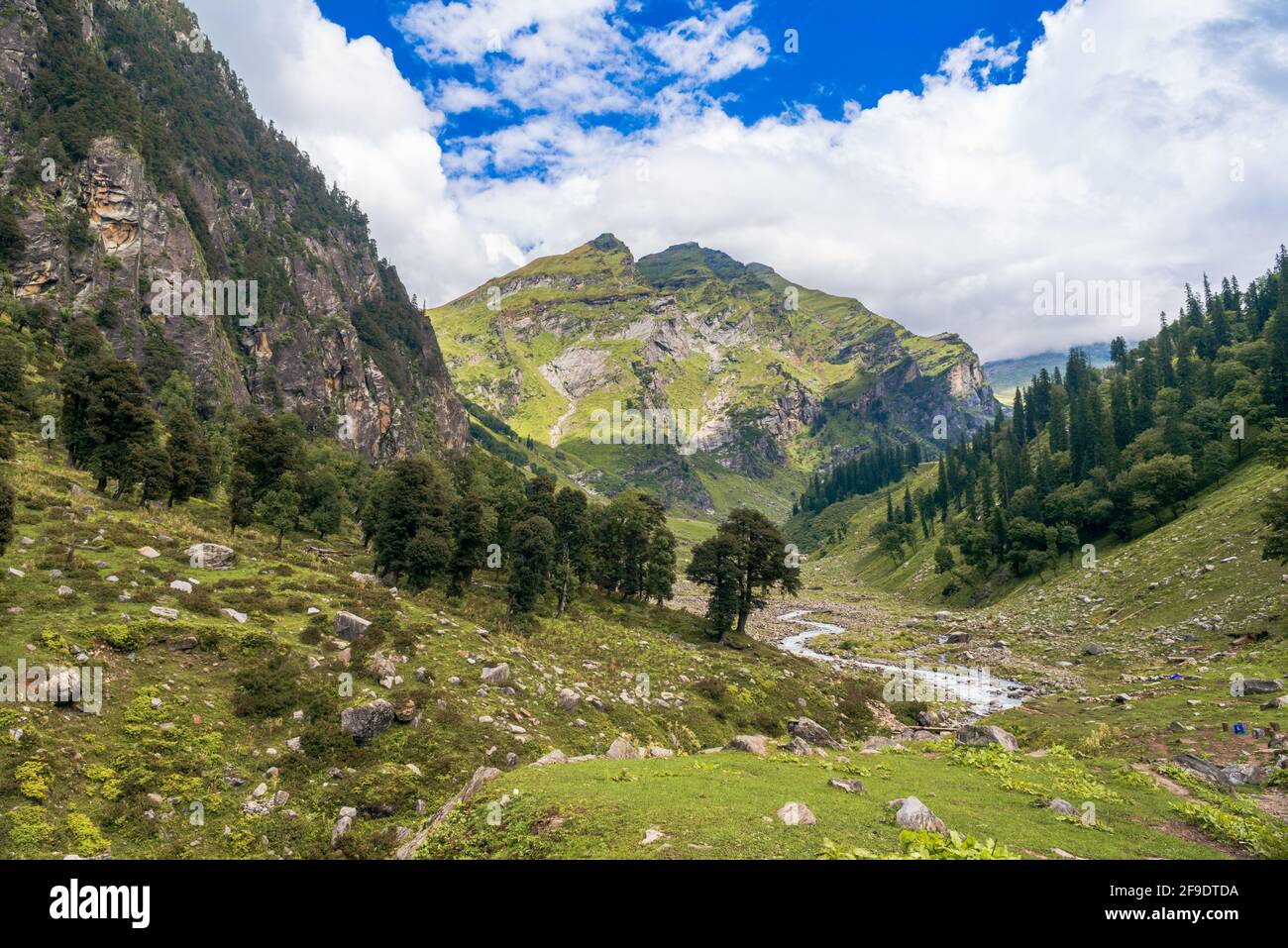 Mountain river in the mountains. Scenic view of alpine meadows in the ...