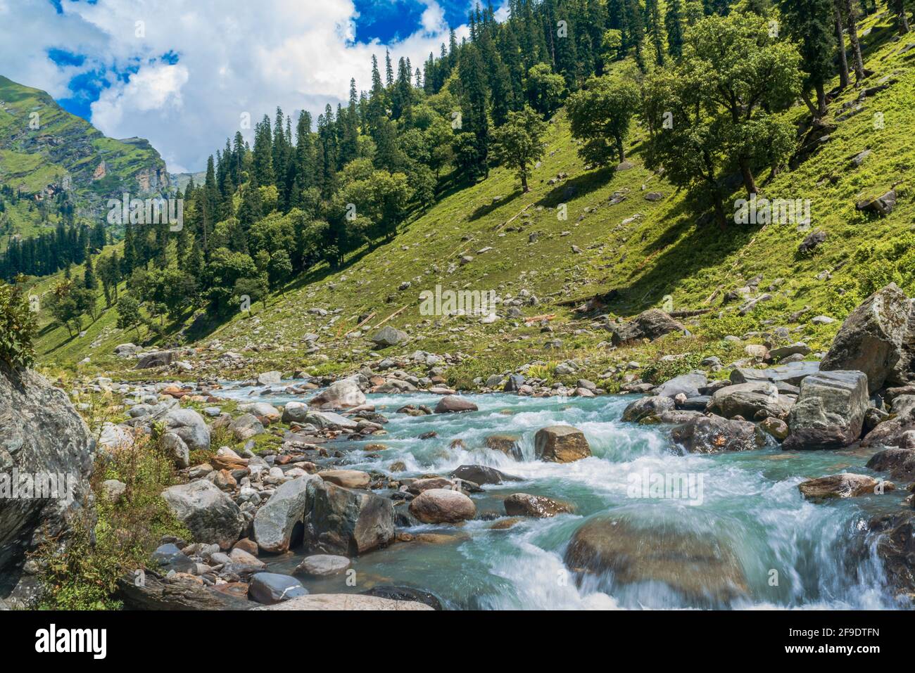 Nature in himachal pradesh india hi-res stock photography and images ...
