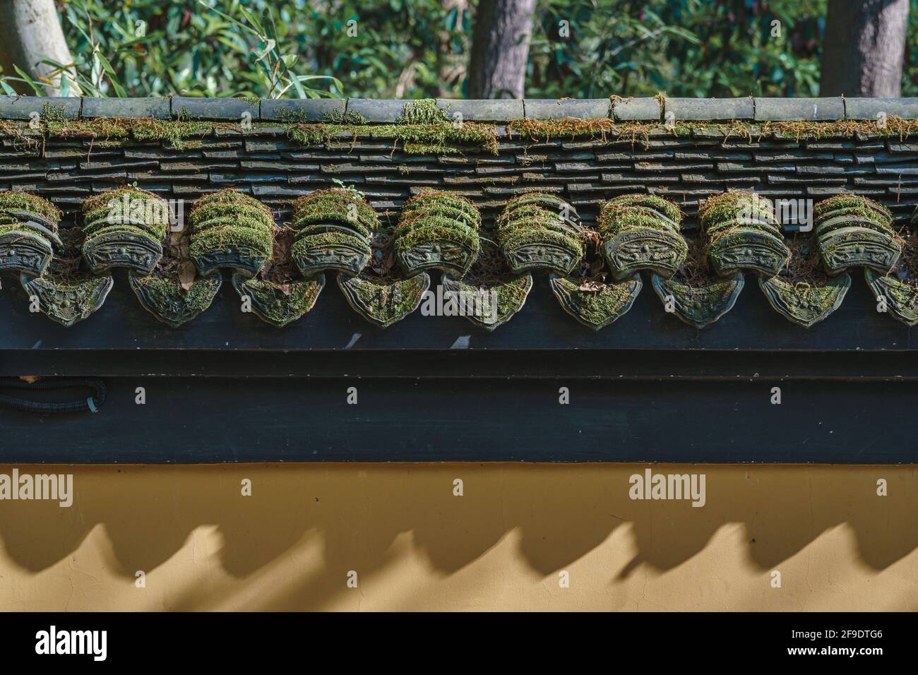 Ancient Chinese wall with classical roof tile of an old temple Stock ...