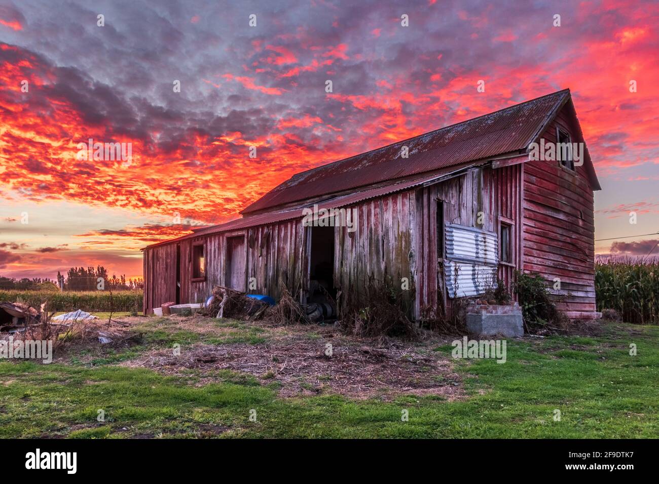 One very old run down farm red farm shed with a fiery sky behind it ...