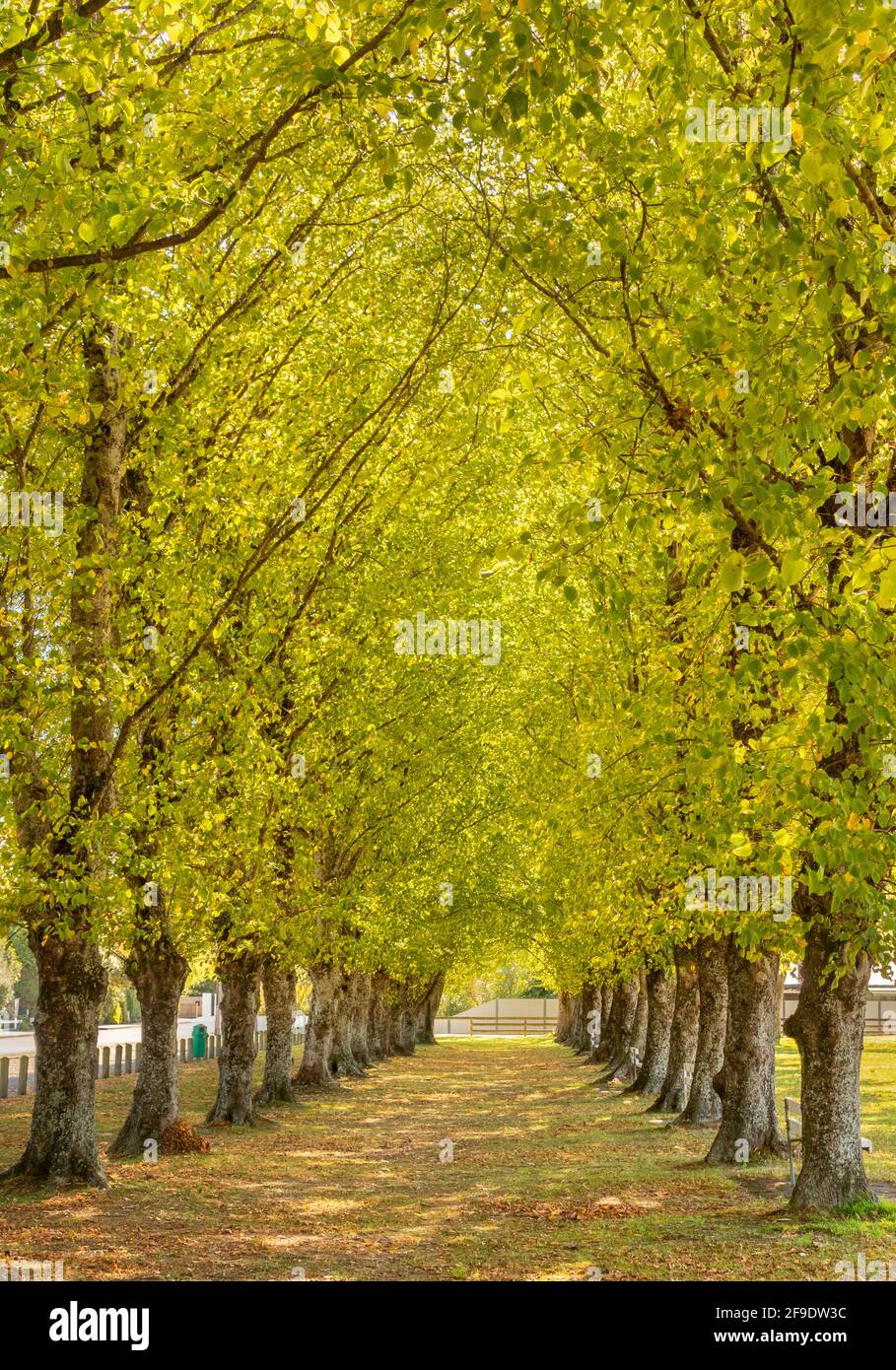Shaded walkway hi-res stock photography and images - Alamy