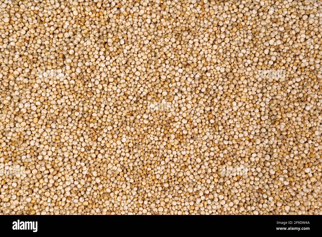 quinoa background. quinoa texture. quinoa seed top view Stock Photo - Alamy