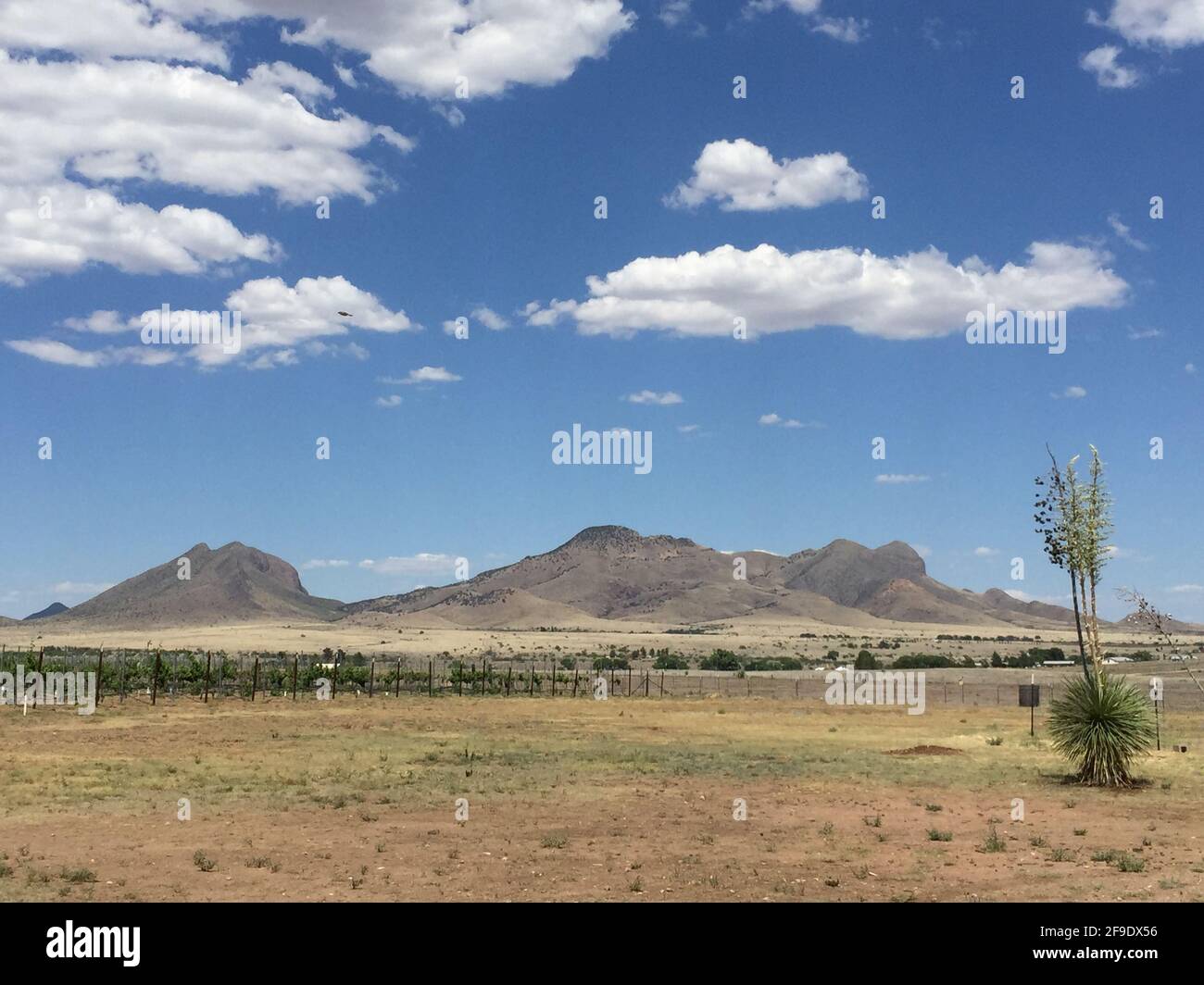 A landscape view of the Mustang Mountains behind high desert landscape ...