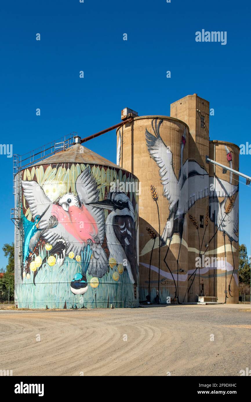 Galah, Kookaburra and Brolga Silo Art, Tungamah, Victoria, Australia ...