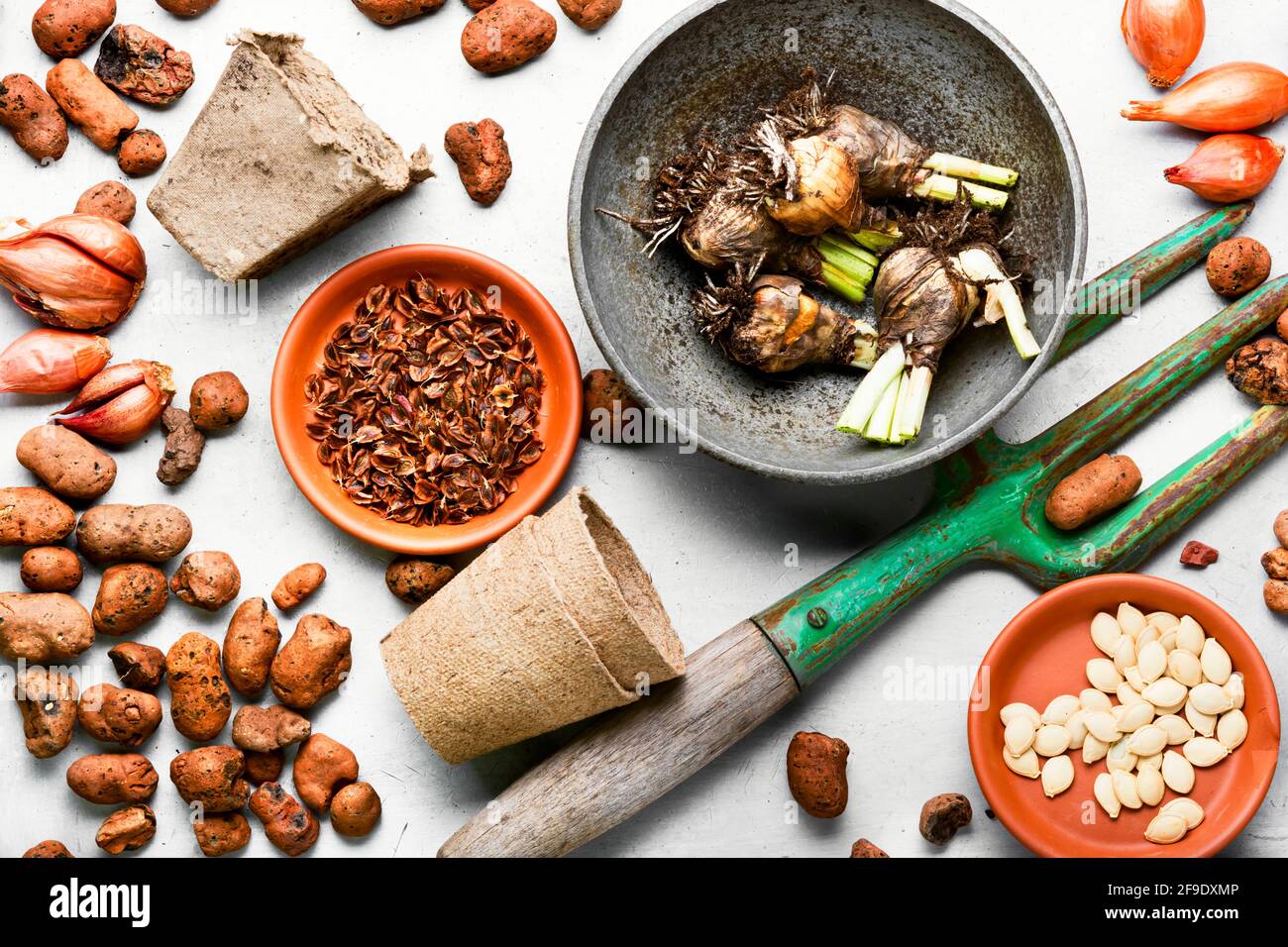 Set of plant seeds,bulbs,flower pots and garden tools Stock Photo - Alamy