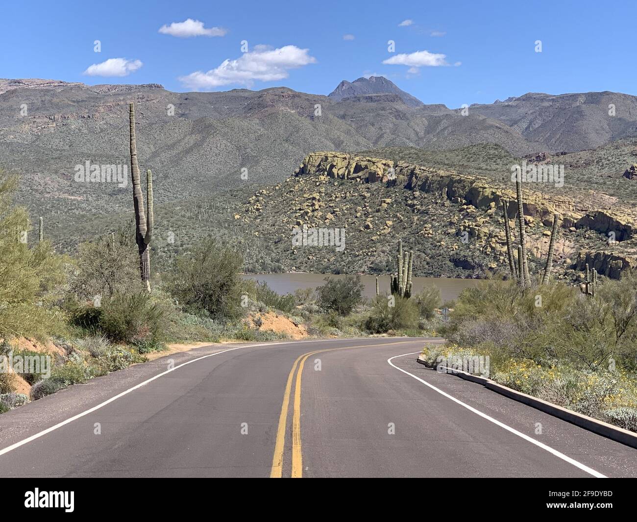 A landscape of empty asphalt road to Bartlett Lake along a desert field ...