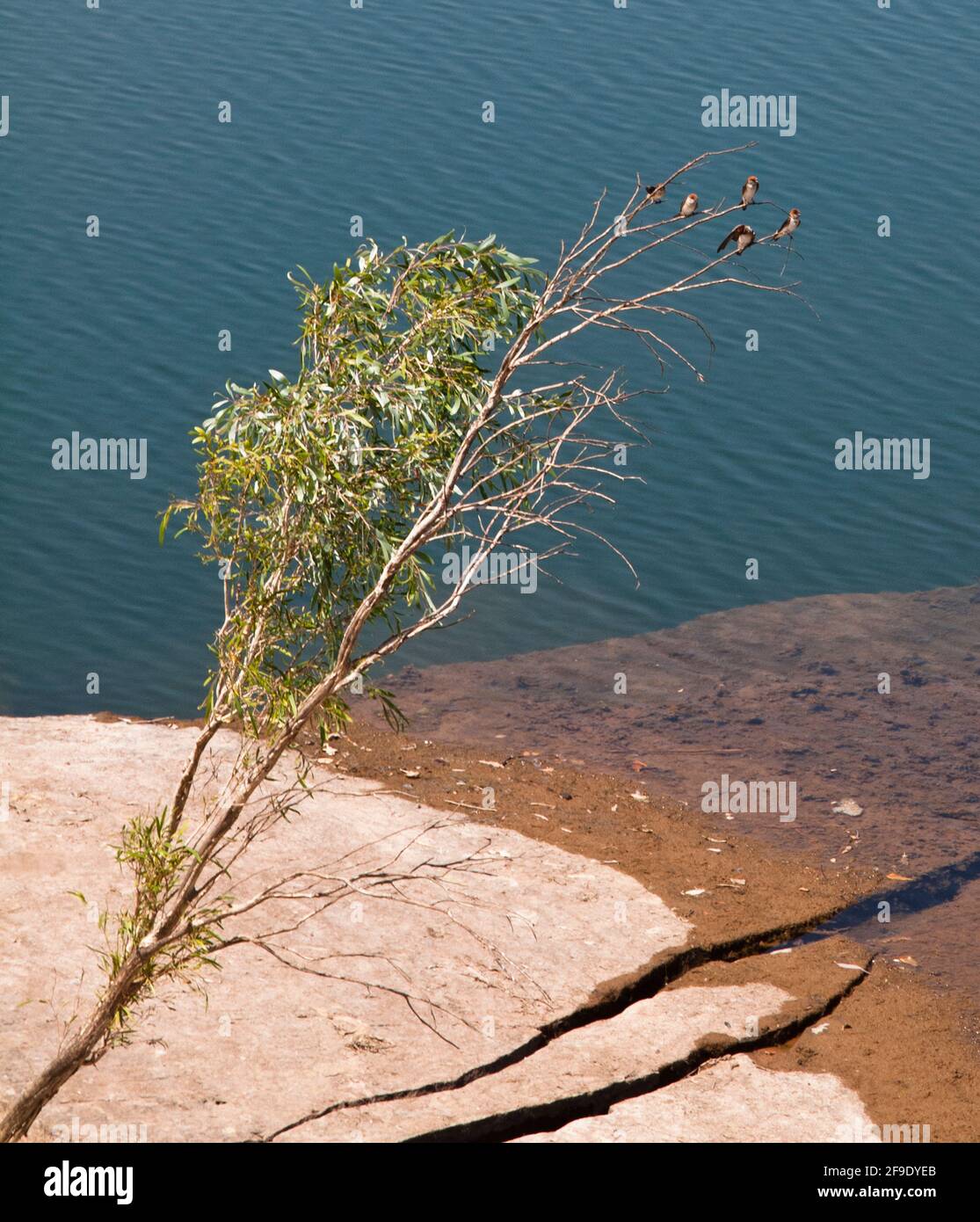 Ariel martin hi-res stock photography and images - Alamy