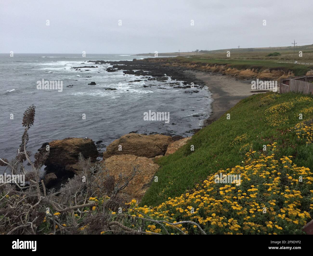 A scenic view of the Pigeon Point in the Historic Park Pescadero in ...