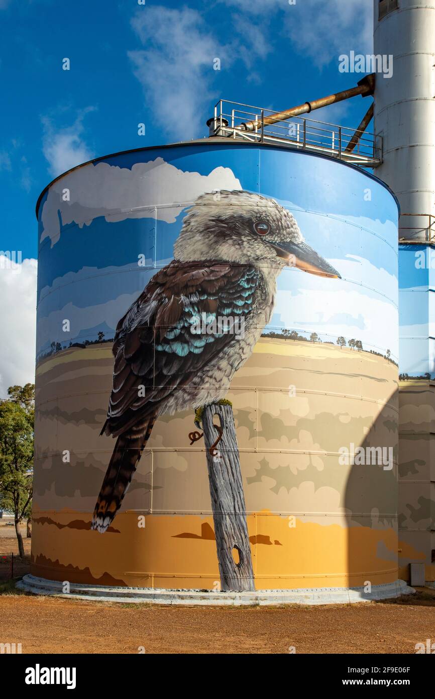 Kookaburra Silo Art, Goroke, Victoria, Australia Stock Photo - Alamy