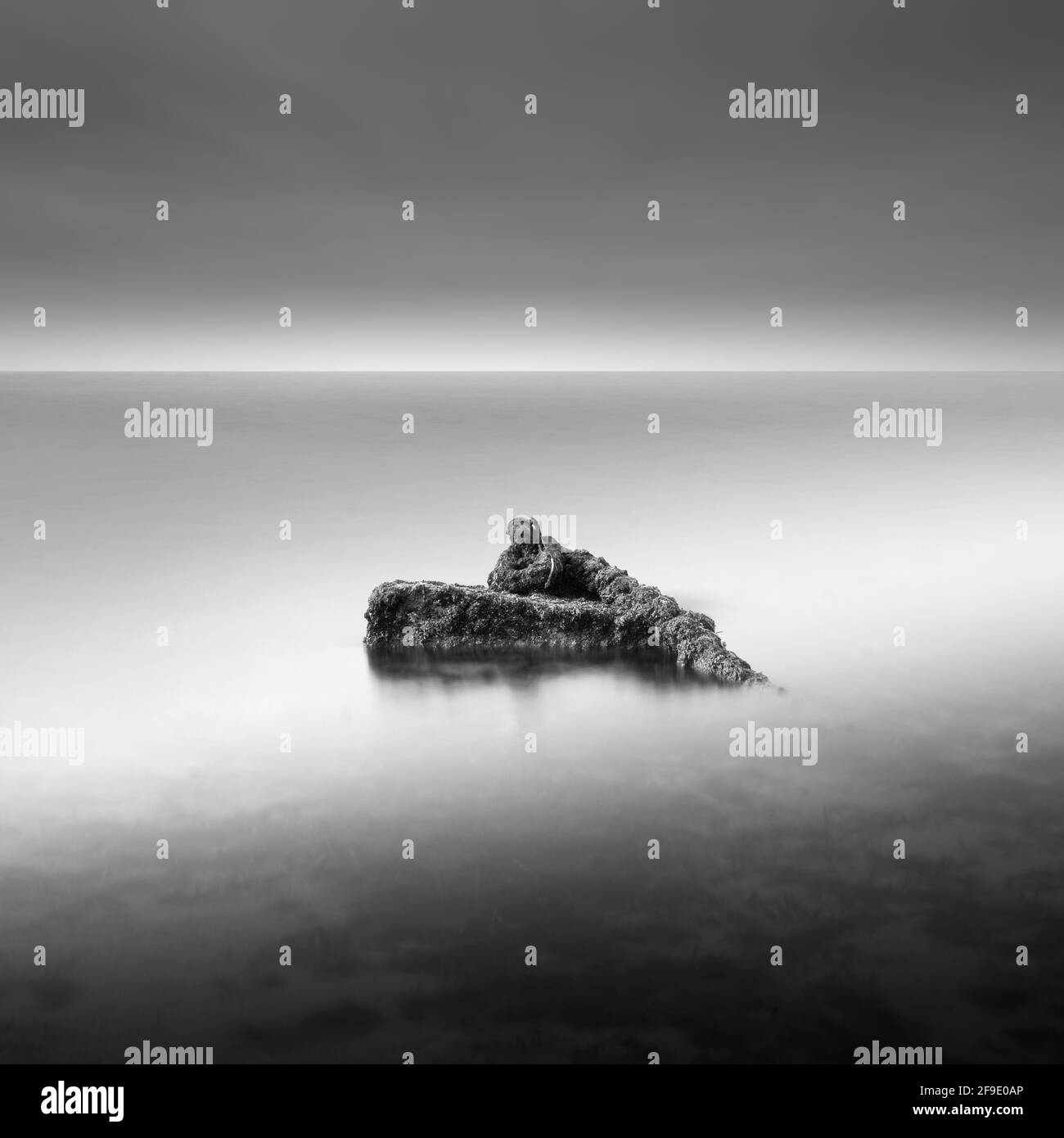 A black and white shot of a broken vessel in sea Stock Photo - Alamy