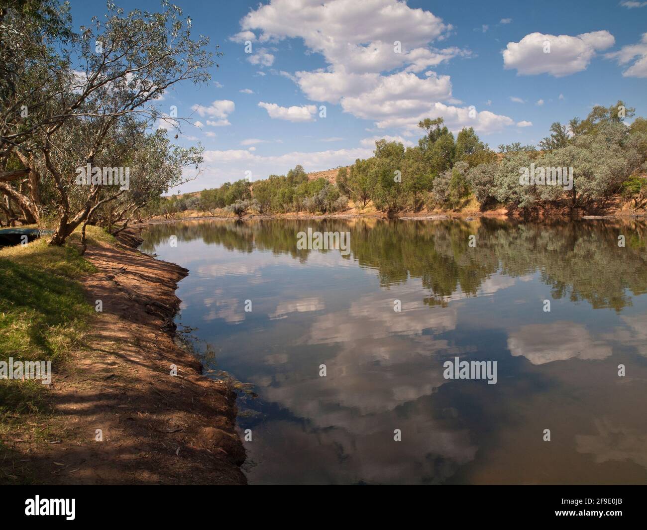 Western australia river paperbark hi-res stock photography and images ...