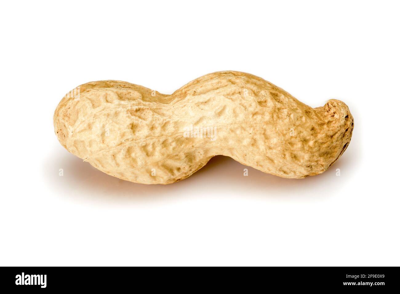 Peanuts. Whole nut isolated on white background. Peanut macro close-up ...