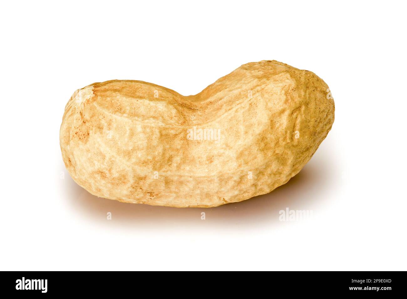 Peanuts. Whole nut isolated on white background. Peanut macro close-up ...