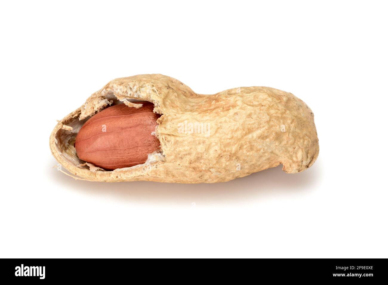 Peanuts. Open nut isolated on white background with kernel. Peanut ...