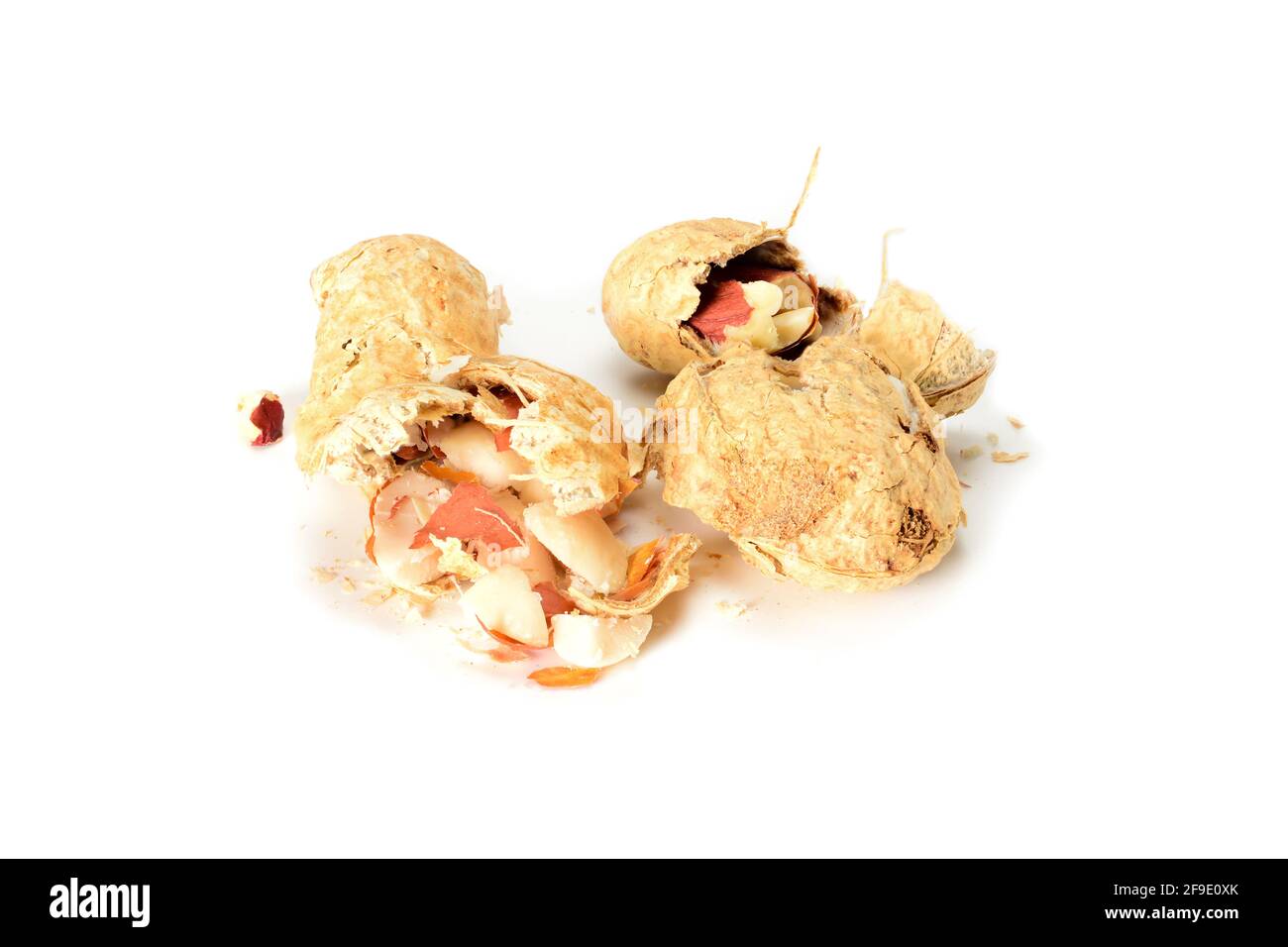 Peanuts. Two broken with hammer nuts isolated on white background ...