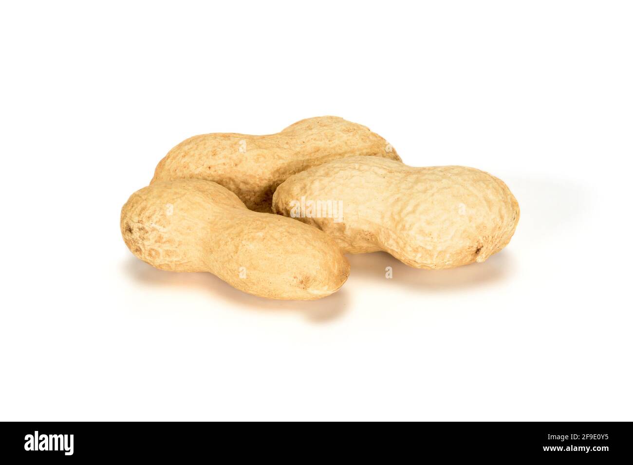Peanuts. Three real whole nuts isolated on white background. Peanut ...