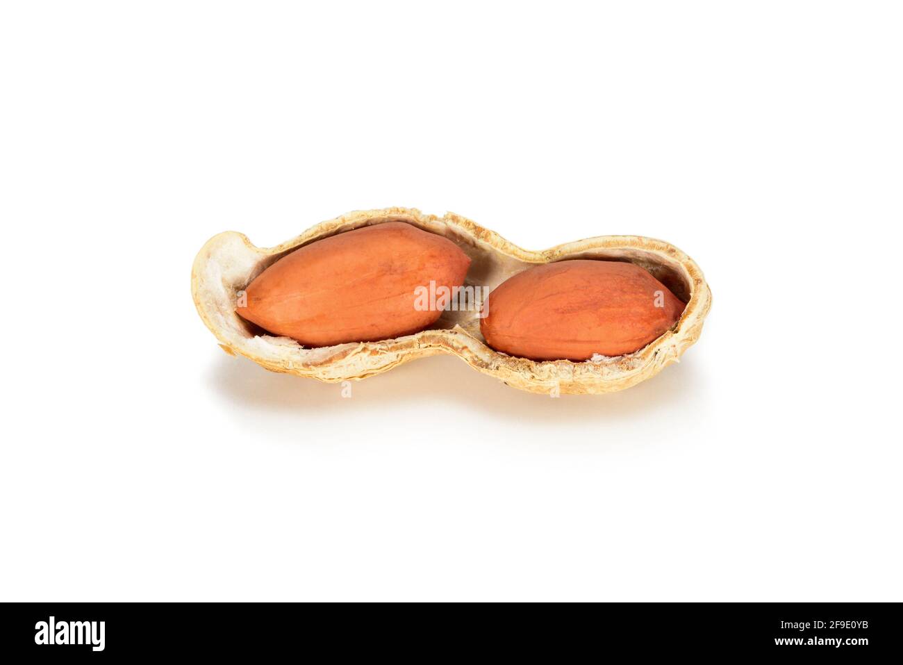 Peanuts. nut kernels in shell isolated on white background. Peanut ...