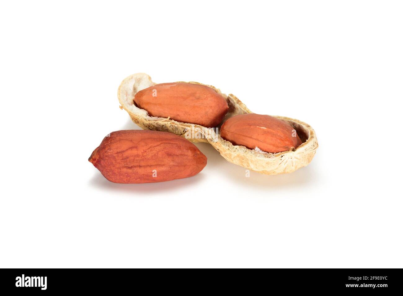 Peanuts. Three nut kernels in shell isolated on white background ...