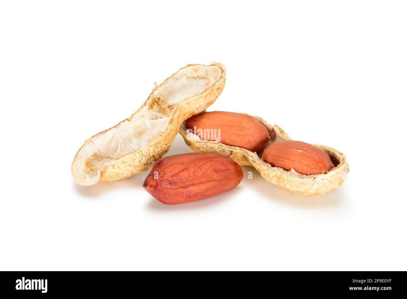 Peanuts. Three nut kernels with open shell isolated on white background ...