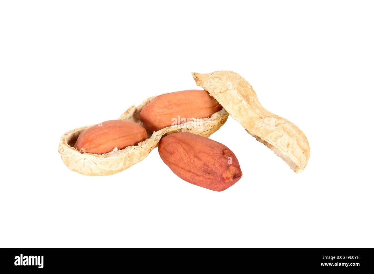 Peanuts. Three nut kernels with open shell, isolated on white ...