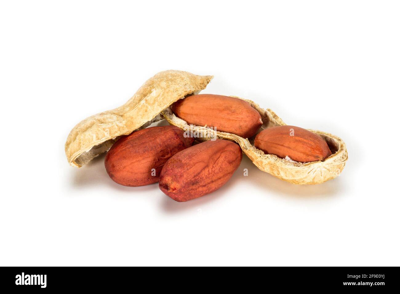 Peanuts. Four nut kernels with open shell, isolated on white background ...
